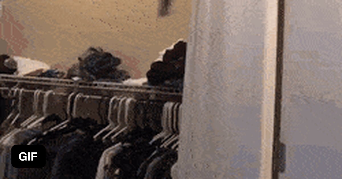 Cat pulls off a physics defying back flip for the win - 9GAG