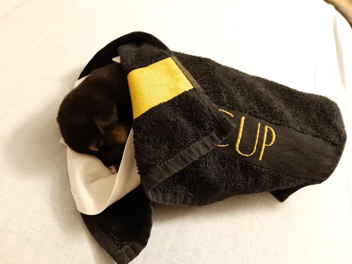 Hi there little one - 9GAG