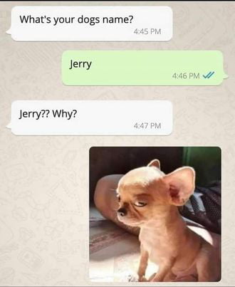 Jerry - 9GAG