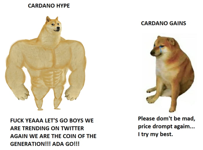ADA cardano in nutshell - 9GAG