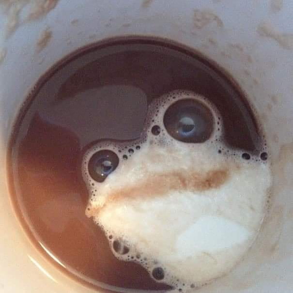 Frothy Frog Coffee - 9GAG