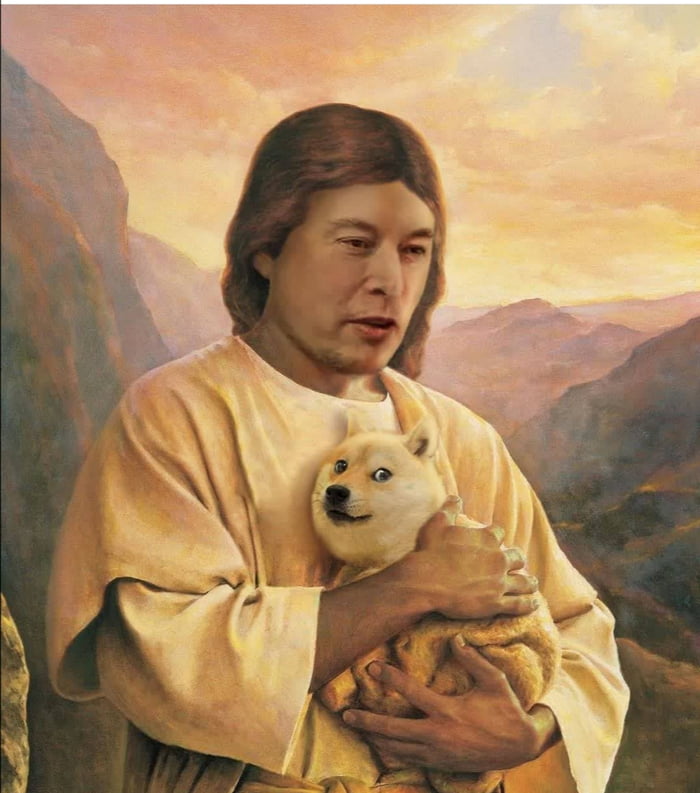 Are you still holding Doge? Hug it tightly like a lamb - 9GAG