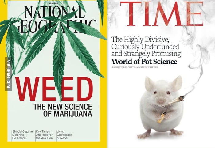 Both National Geographic and Time magazine are running cover stories ...