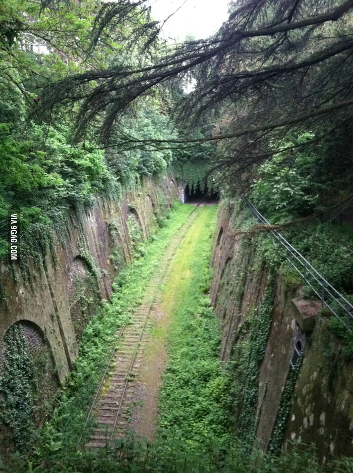 Beautiful old metro rail reclaimed by nature. - 9GAG