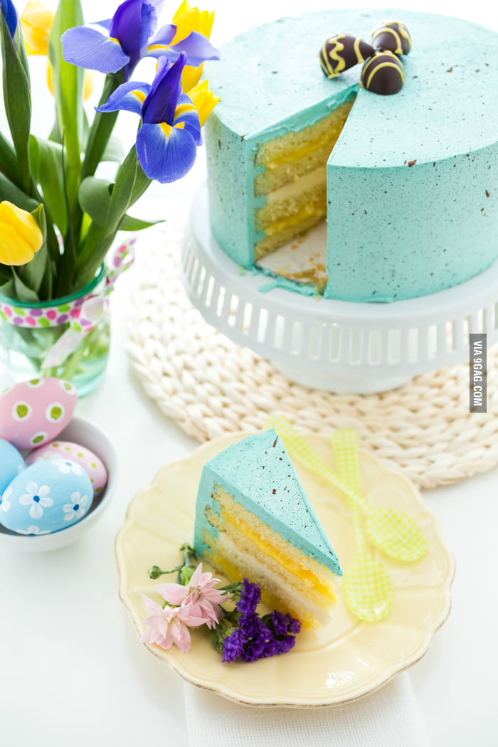 Robin's Egg Chocolate Torte - 9GAG