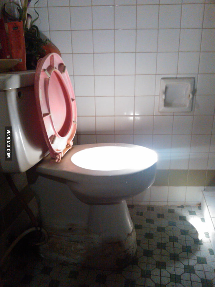 The Holy Toilet is telling me something... - 9GAG