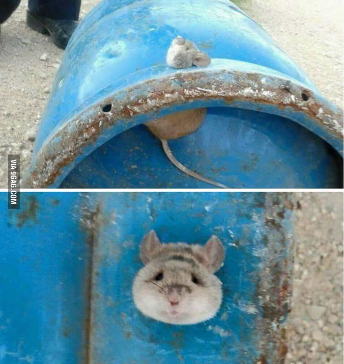 Help Me 9gag