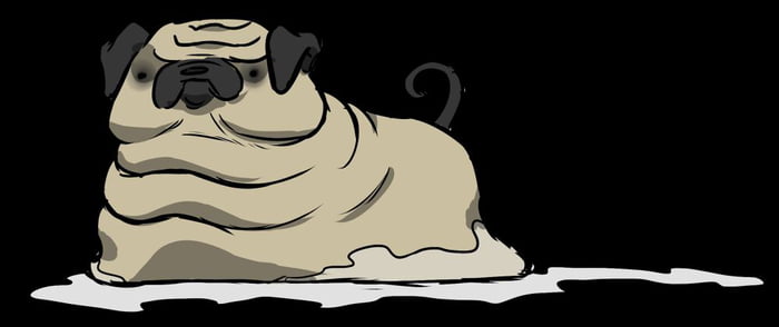 Slug Pug - 9GAG