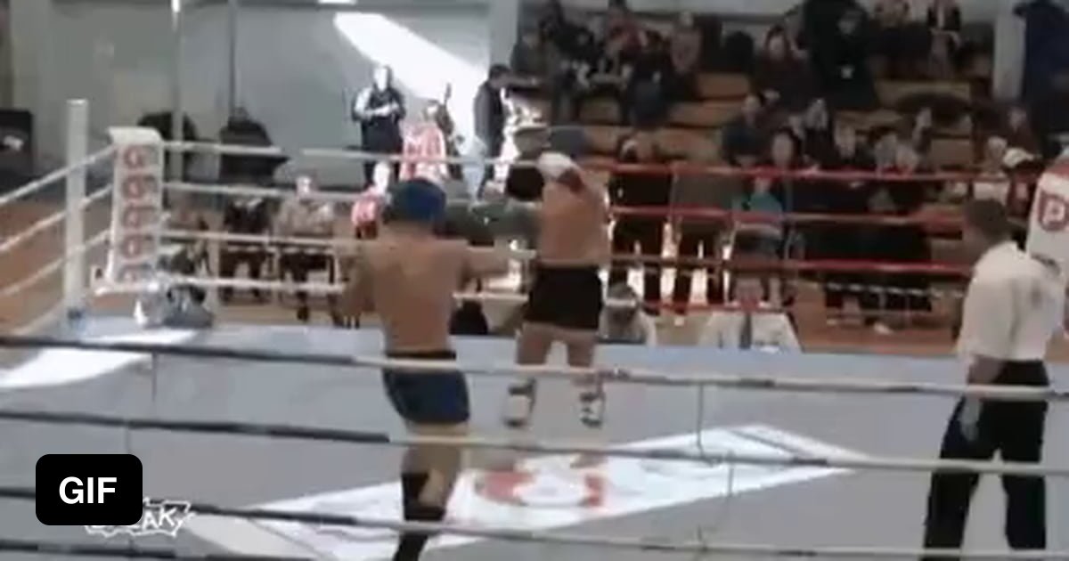 What I expected from the Connor vs Floyd match... - 9GAG