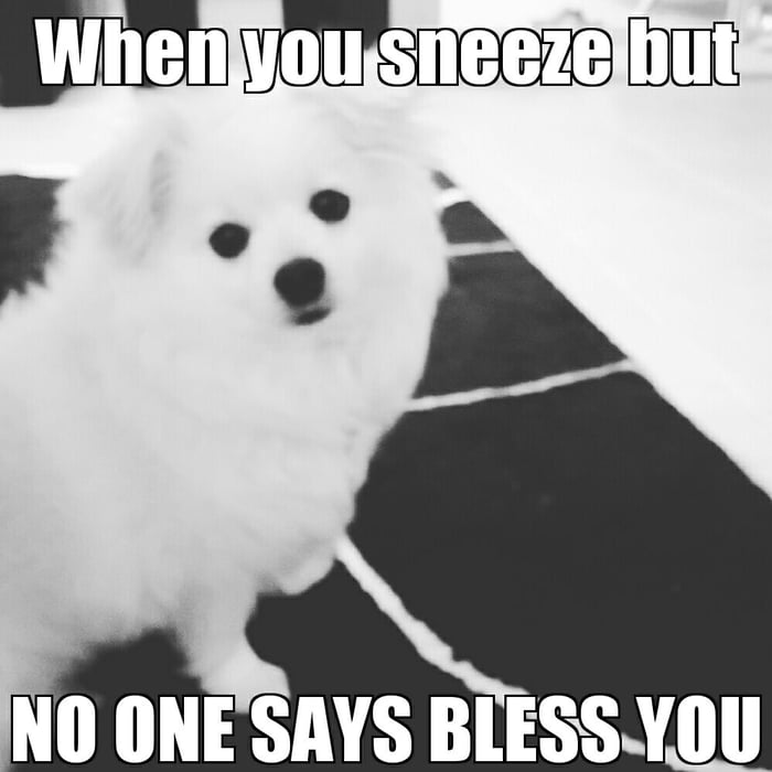 Doggo Potato Meme 9gag Pupper Does not make sense - 9GAG