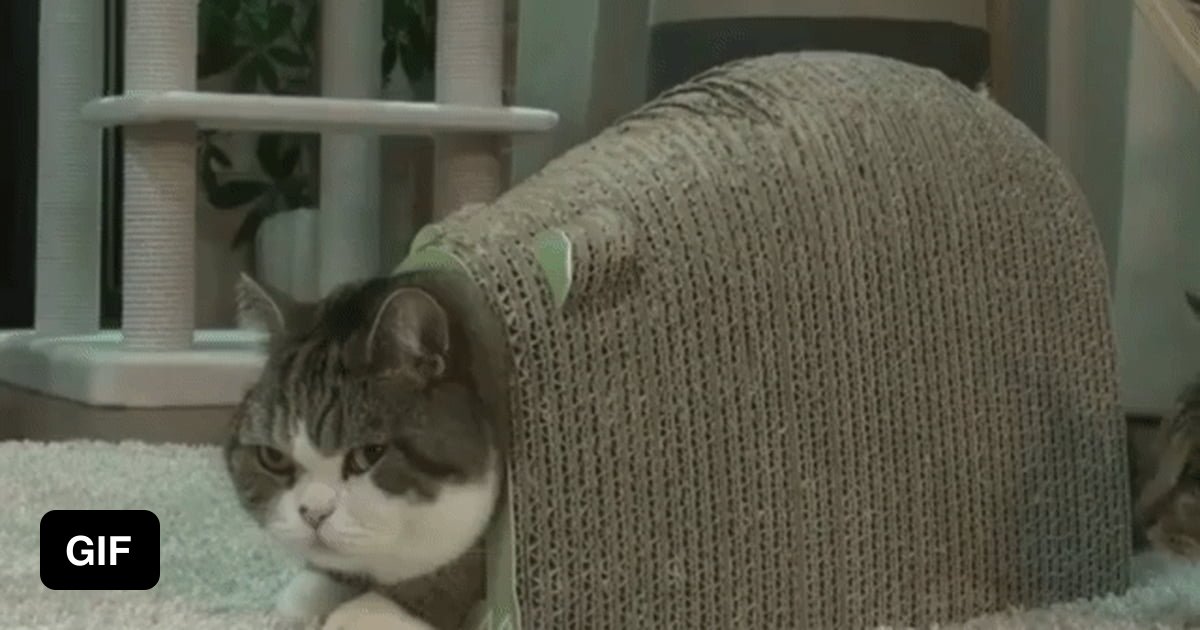 When you inserted the wrong hole - 9GAG