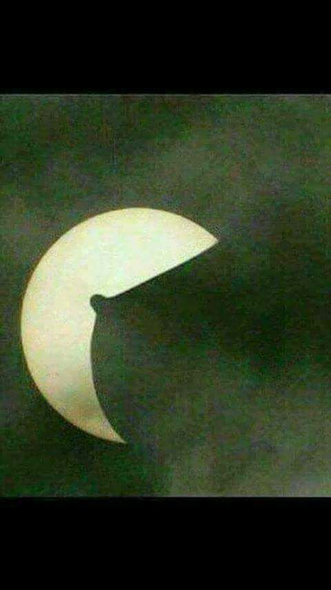 Pic of the eclipse yesterday...you could say it was "breast taking" - 9GAG