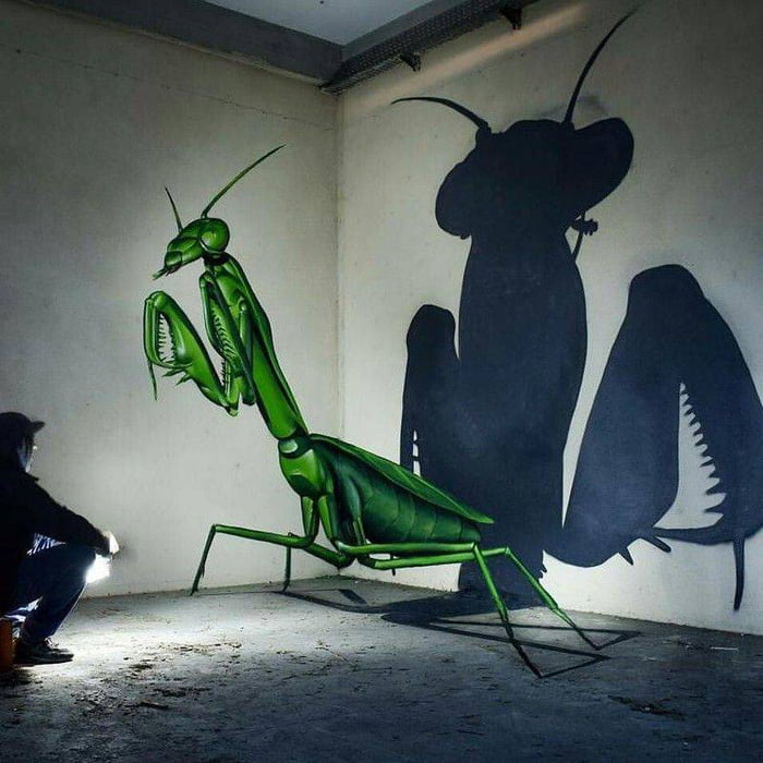 Praying mantis graffiti - 9GAG