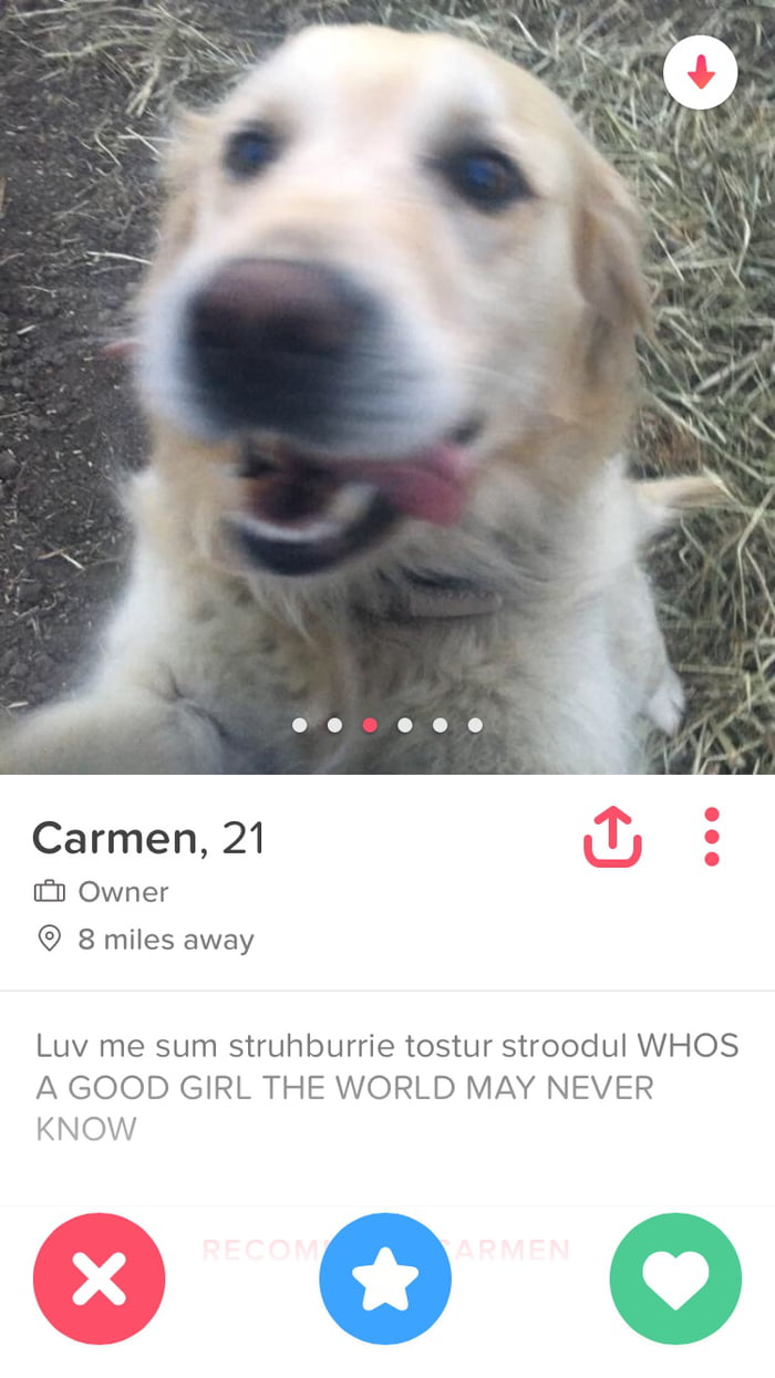 Doggo my fren!! - 9GAG