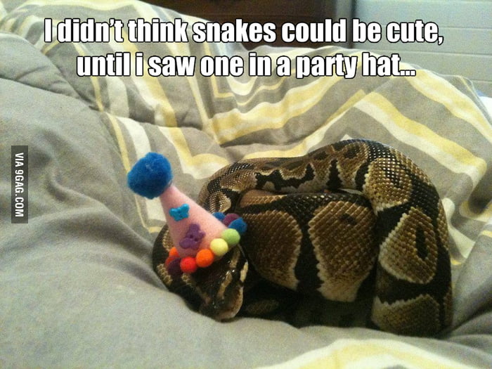 Cute or what? - 9GAG