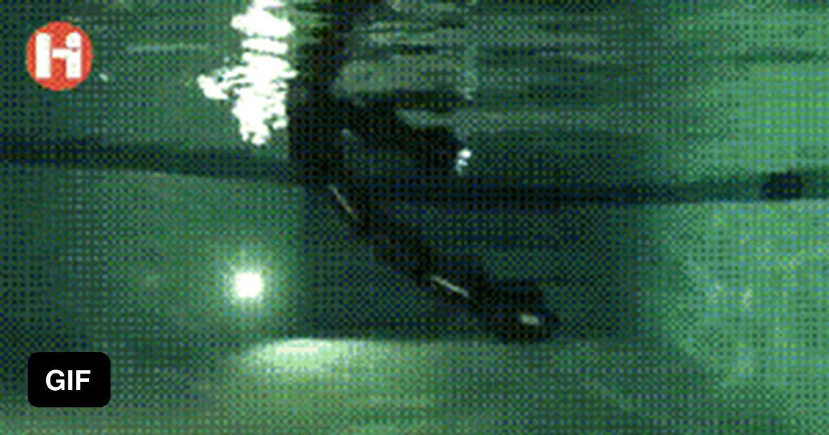 Amphibious snake robot - HiBot ACM-R5H - 9GAG