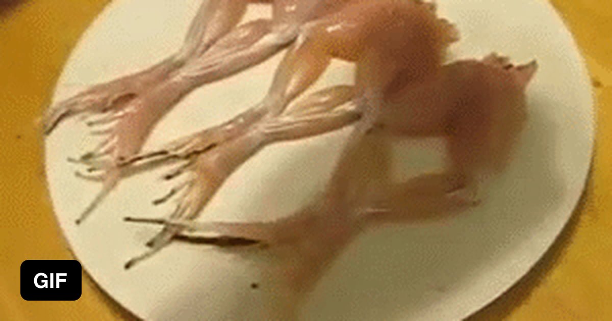 Frog Legs With a Little Salt - 9GAG