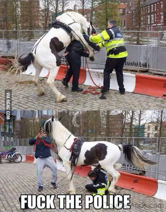 F**k the Police, literally. - 9GAG
