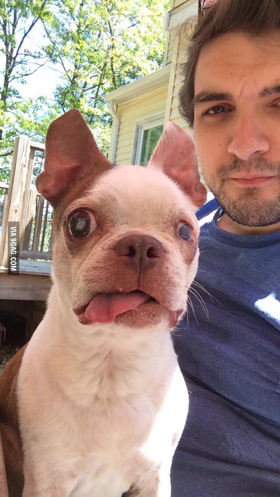 "What's that noise?" face. - 9GAG