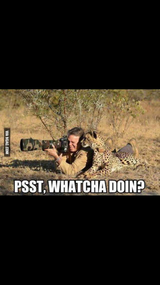 Heeeeeeey dooood - 9GAG