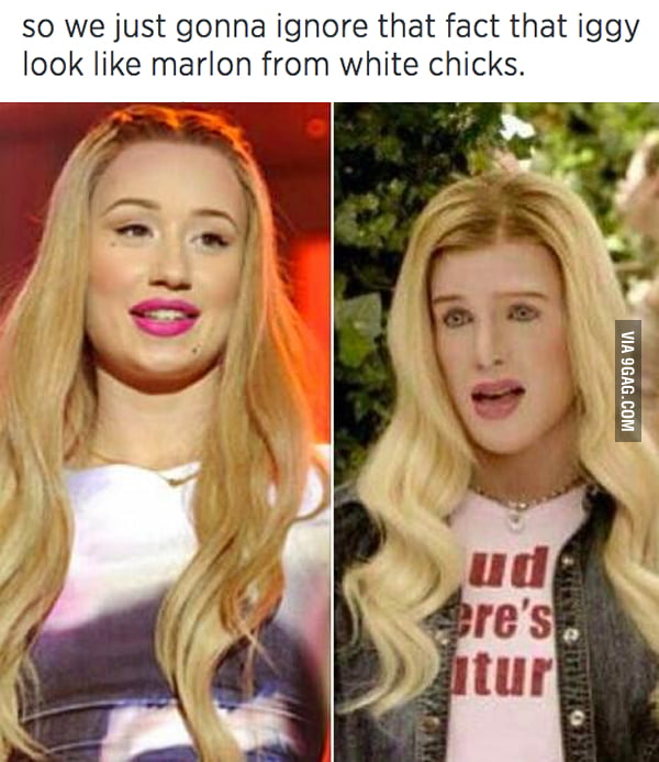Iggy the white chick? - 9GAG