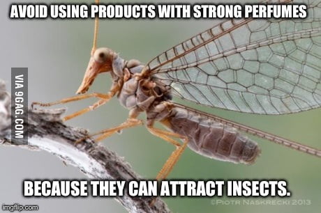 Now that the weather is warming up, I present: Actual Advice Weird ...