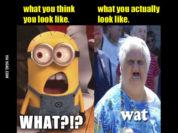 Cute minion, but wait... - 9GAG