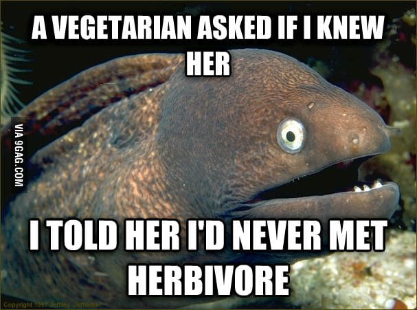 It was nice to meat her - 9GAG