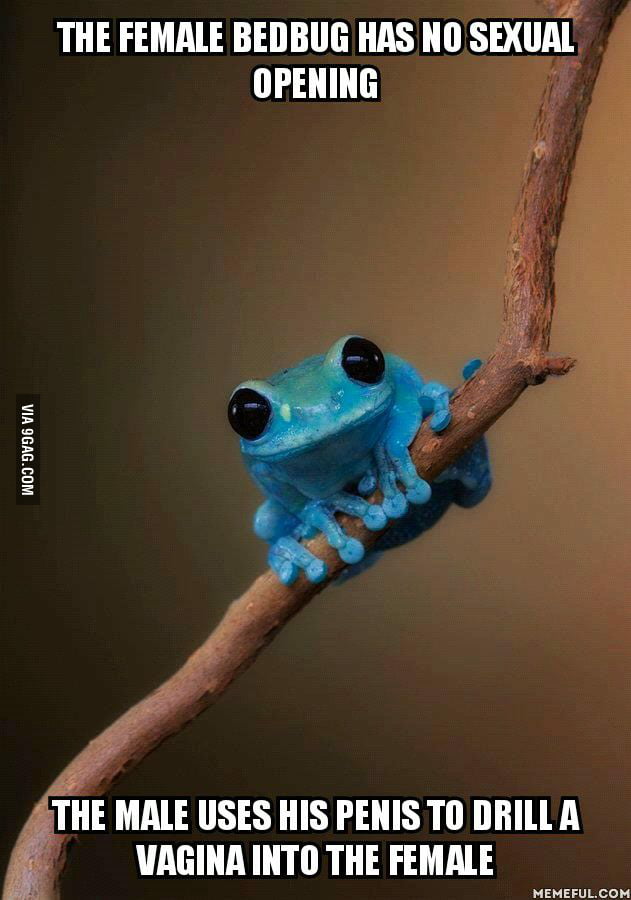 Must be the hardest defloration process! - 9GAG