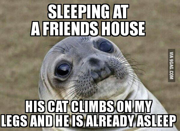 Srsly, I dunno what to do.. I am not good with animals.. - 9GAG