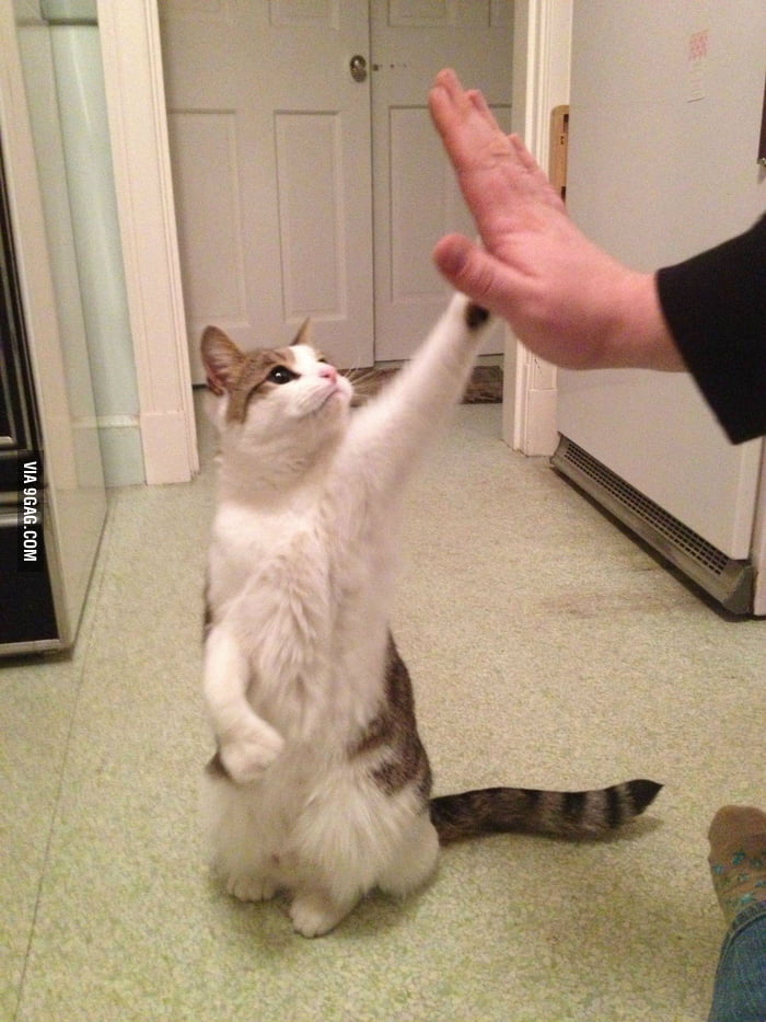 Very nice! High five! - 9GAG