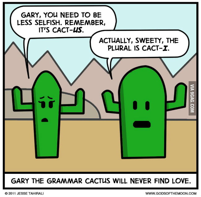 Gary the grammar cactus. - 9GAG