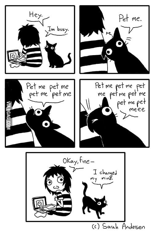 Most cats are like this. Google "Sarah See Anderson" for more comics ...