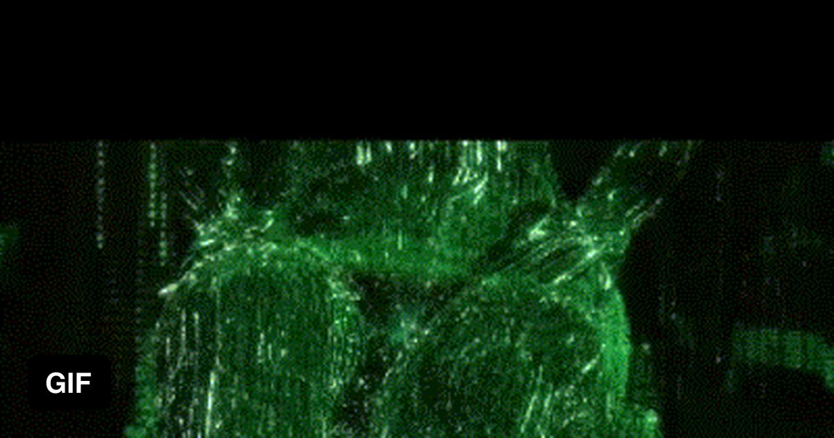 The Matrix orgasm - 9GAG