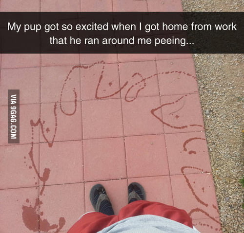 That pattern..... - 9GAG