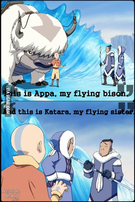 This is katara my flying sister! - 9GAG