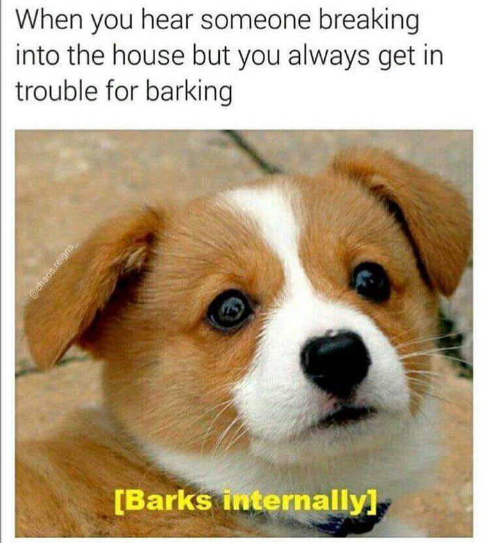 Barks internally - 9GAG