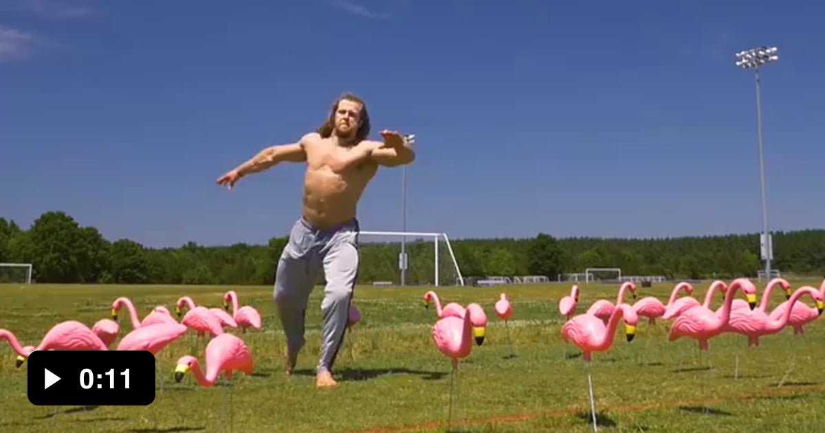 Just a bodybuilder kicking a bunch of plastic flamingos - 9GAG