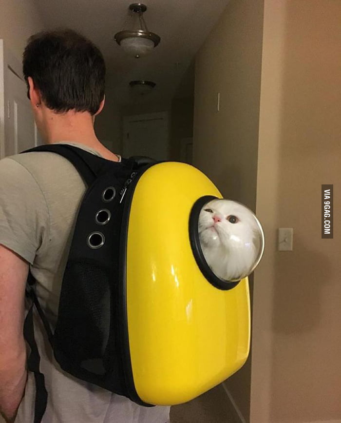 9gag backpack - 9GAG