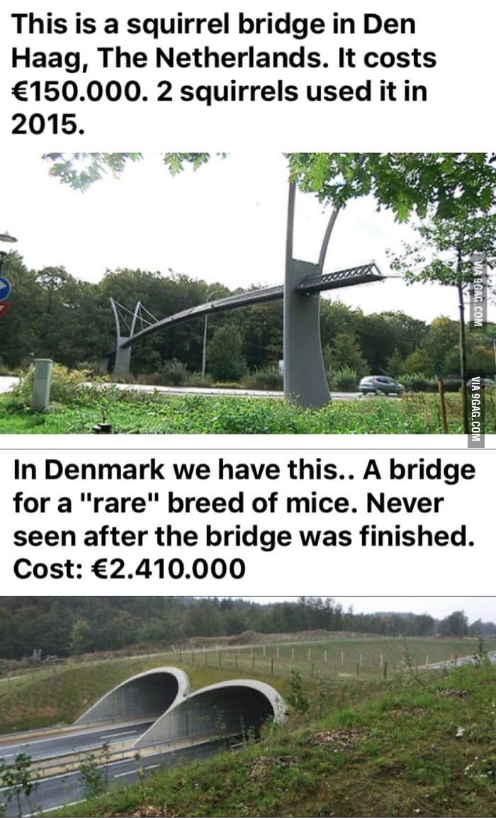 Saw the post about the squirrel bridge in The Netherlands.. I give you ...