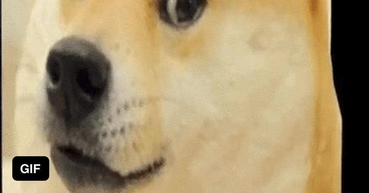Holy Doge - 9GAG