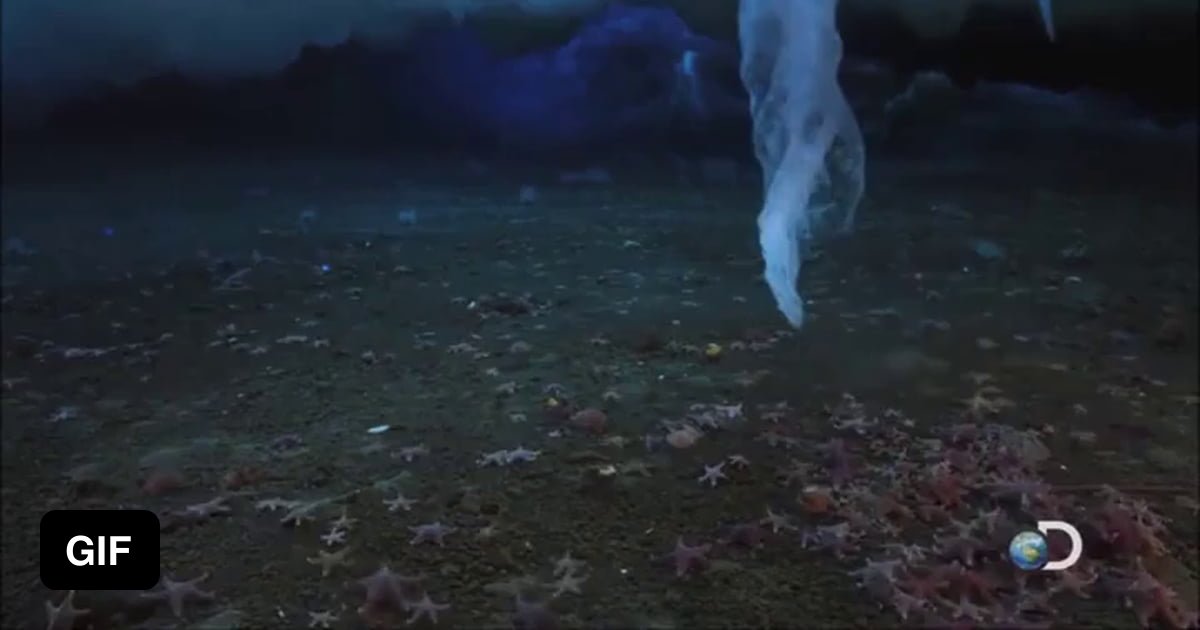 Brinicle' aka "ice finger of death" filmed in Antarctic, freezing ...