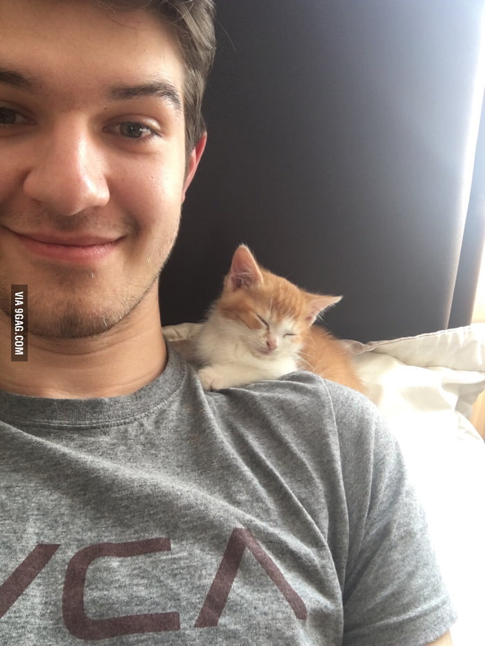 Elusive shoulder kitten - 9GAG