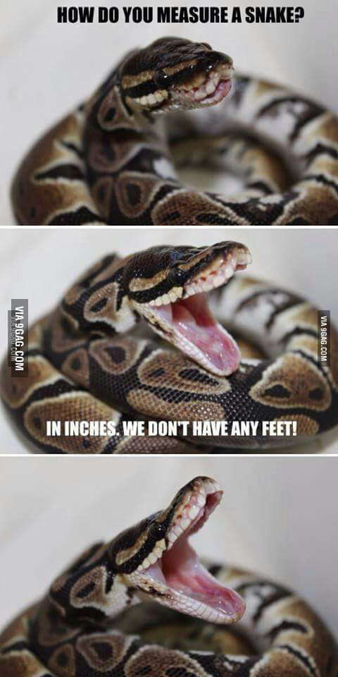 No feet - 9GAG