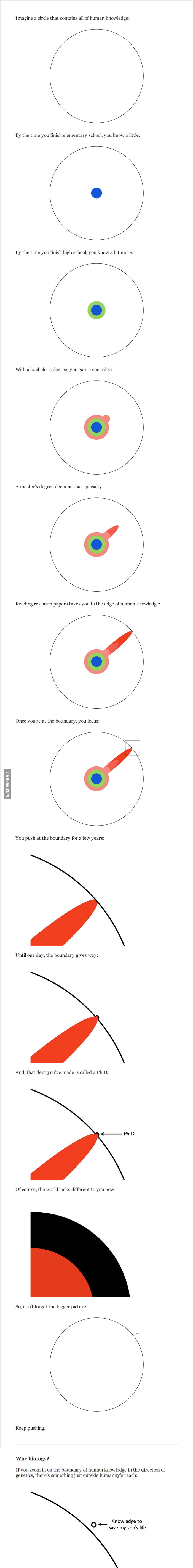 The illustrated guide to a Ph.D. - 9GAG
