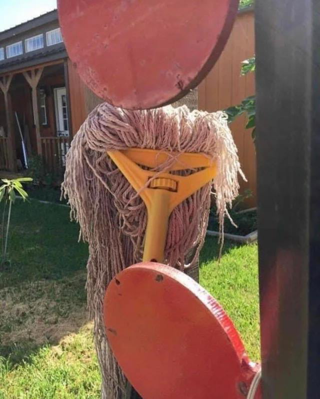 An angry mop blocks your path - 9GAG
