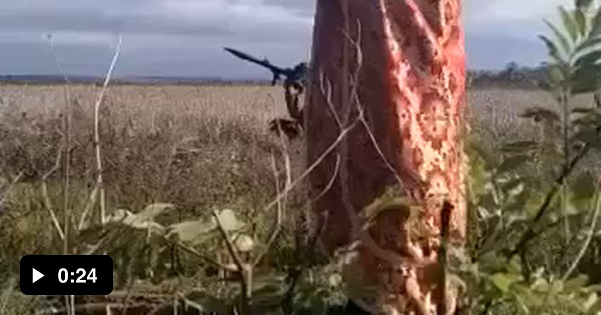 Translation: “Priest academy is fighting NATO. Jesus has risen!” - 9GAG