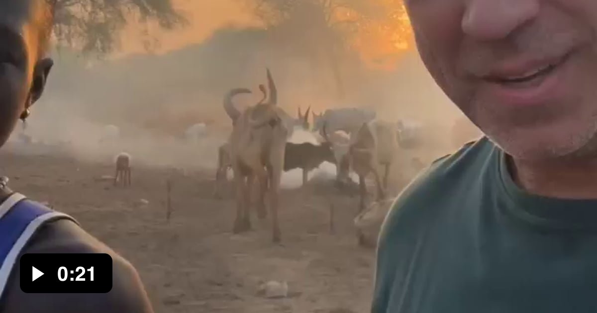 Some dude named Dima bought a woman for 100 cows. Her name is Agok. Let ...