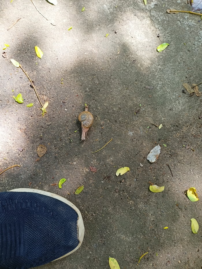 Almost.. almost.. phew.. - 9GAG