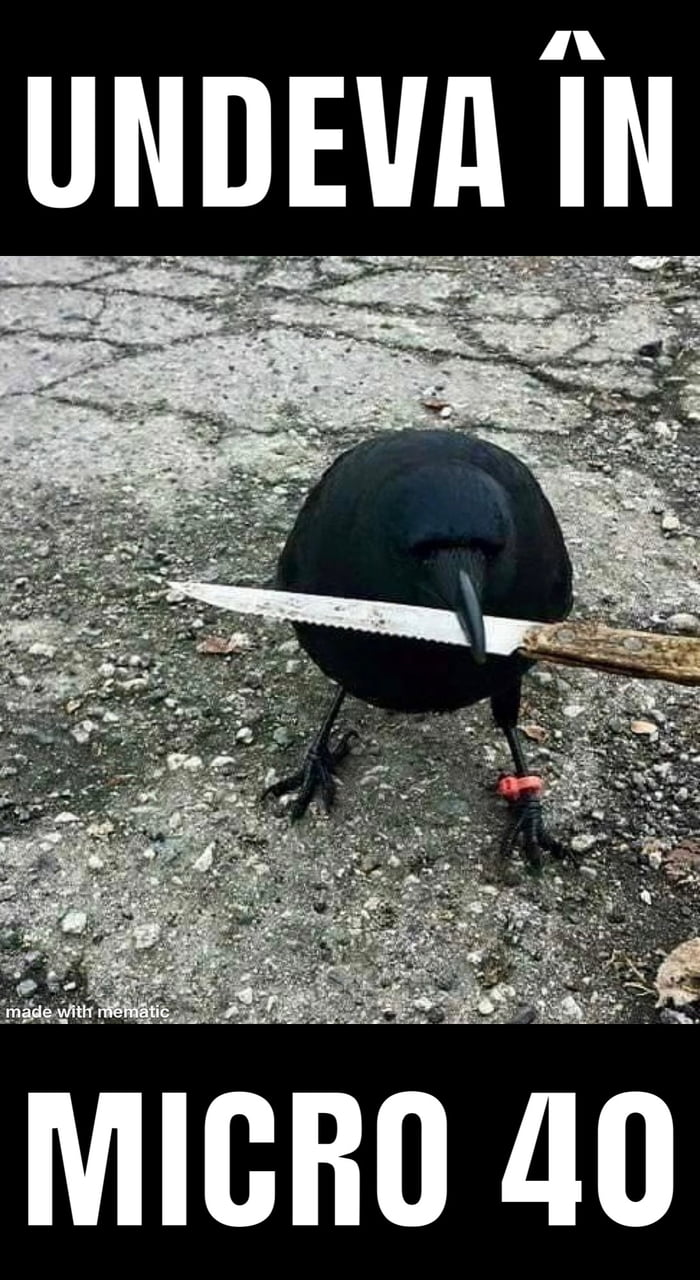 Undeva în Micro 40 ( Galati ) - 9GAG